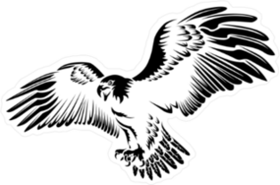 Eagle Stickers & Car Decals | Eagle Vinyl Graphics | Car Stickers