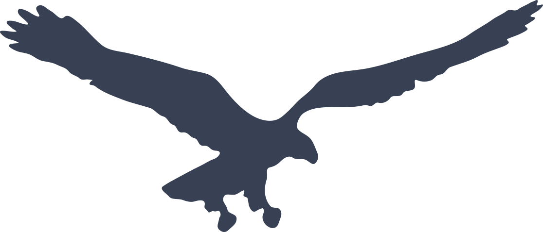 Flying Eagle Sticker - 50+ Colors!
