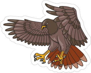 Hawk Silhouette Stickers & Decals | Car Stickers