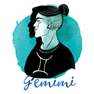Gemini Zodiac & Astrology Stickers & Car Decals