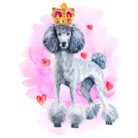 Glamorous Queen Poodle Sticker