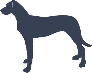 Great Dane Stickers