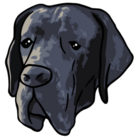 Great Dane Head Sticker
