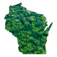 Green Forest Map Of Wisconsin Sticker