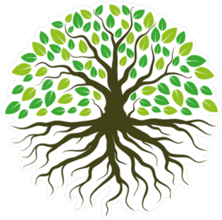Oak Tree Car Stickers and Decals