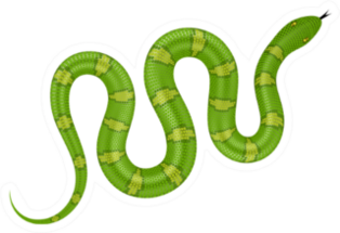 Snake Stickers & Car Decals – Cool, Detailed Designs