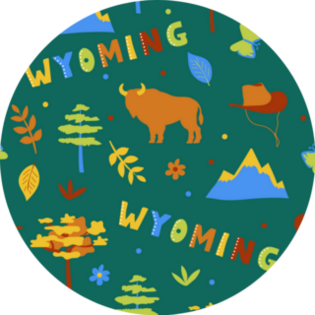Wyoming State Stickers and Decals | Free Shipping