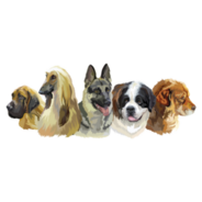 Group Of Dogs Sticker