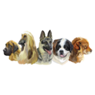 Group Of Dogs Sticker