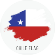 Grunge Chile Flag Lettering Sticker