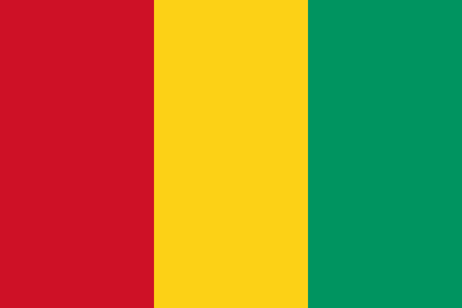 Guinea Country Flag Sticker Shipped Fast & Free!