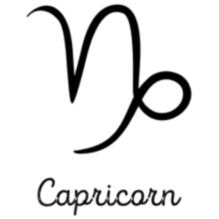 Capricorn Zodiac & Astrology Stickers & Car Decals