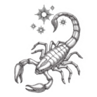 Hand Drawn Illustration Scorpio Sticker