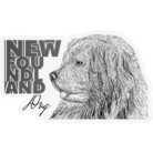 Hand Drawn Newfoundland Sticker