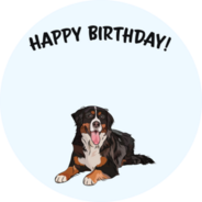 Happy Birthday Berner Sticker