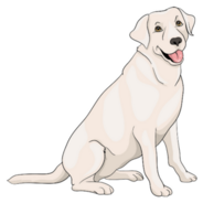 Happy Yellow Lab Sticker
