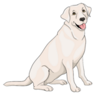 Happy Yellow Lab Sticker