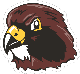 Hawk Silhouette Stickers & Decals | Car Stickers