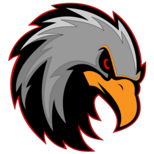 Hawk Silhouette Stickers & Decals | Car Stickers