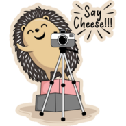 Hedgehog Say Cheese Sticker