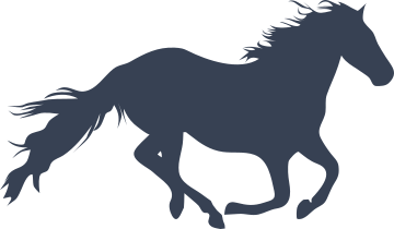 Order Your Horse Running Sticker Today - Free Shipping!