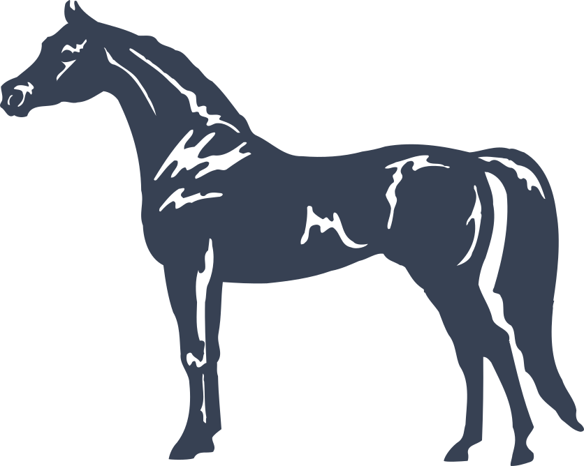 Horse Sticker - Arabian - 50+ Colors!