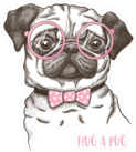 Hug a Pug Sticker