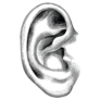Human Ear Hand Drawn Vintage Sticker