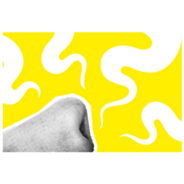 Human Nose Breathes In Colorful Art Sticker