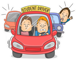 Student Driving Stickers & Decals - Driver Training/School