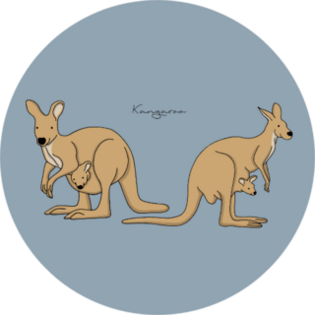 Kangaroo Stickers & Car Decals – High Quality Vinyl Material