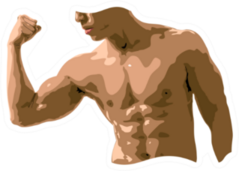 Image Of A Male Torso Flexing Biceps Sticker
