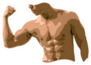 Image Of A Male Torso Flexing Biceps Sticker