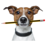 Jack Russel Pencil Sticker