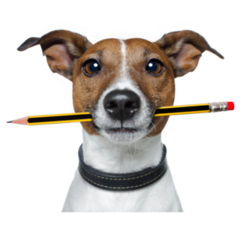 Jack Russel Pencil Sticker