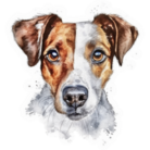 JACK RUSSELL Sticker