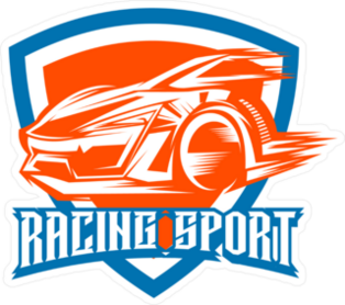 High Quality JDM Car Stickers and Decals - Order Today!