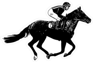 Vinyl Horse Stickers & Car Decals – Dozens of Designs & Styles.
