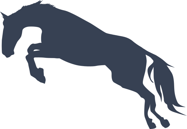 Jumping Horse Sticker Shipped Fast & Free!