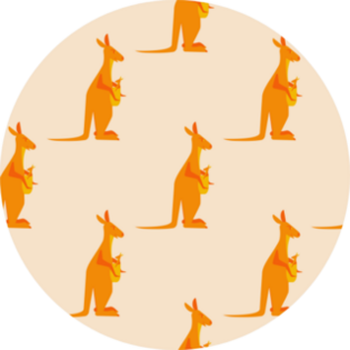 Kangaroo Stickers & Car Decals – High Quality Vinyl Material
