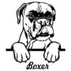 Labeled Boxer Sticker