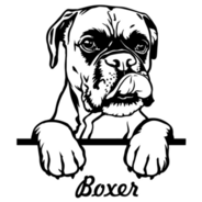Labeled Boxer Sticker