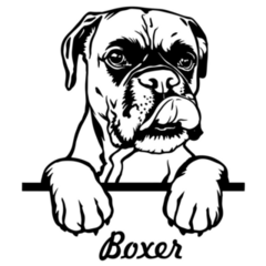Labeled Boxer Sticker
