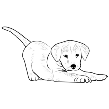 Labrador Puppy Outline Sticker