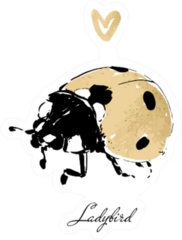 Ladybird Gold Sticker