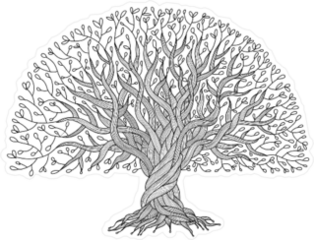 Oak Tree Car Stickers and Decals
