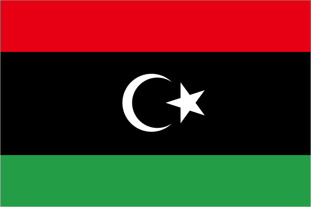 Libya Flag Sticker Shipped Fast & Free!