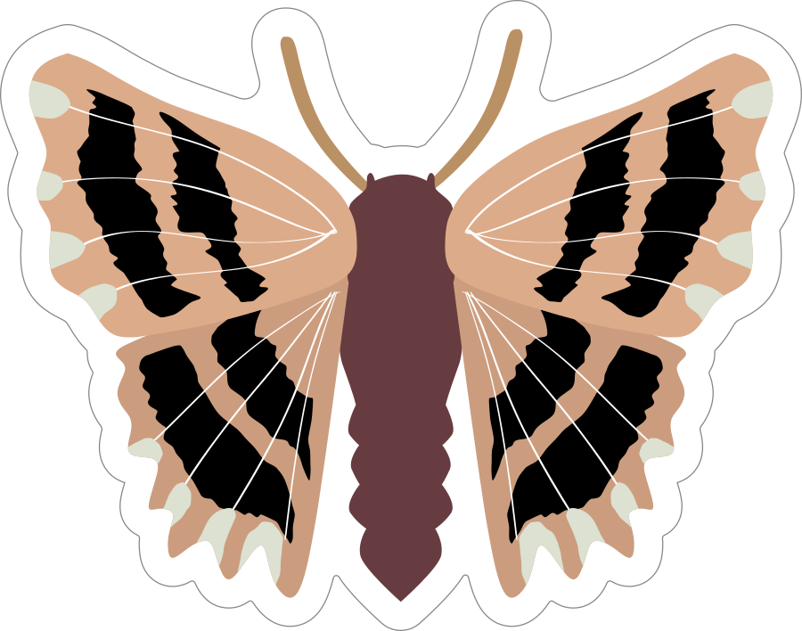 Light Pink Butterfly Moth Sticker