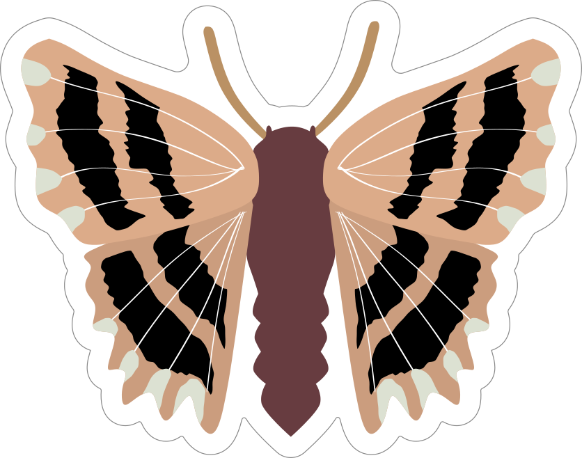 Order Your Light Pink Butterfly Moth Sticker Today - Free Shipping!