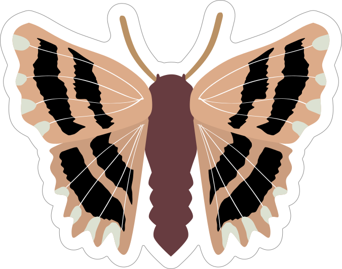 Light Pink Butterfly Moth Sticker